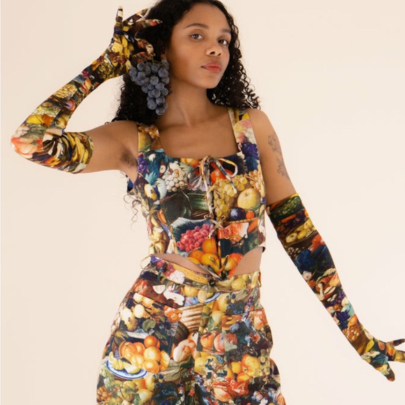 Samantha Pleet | Tops | Samantha Pleet Shield Corset In Harvest | Poshmark